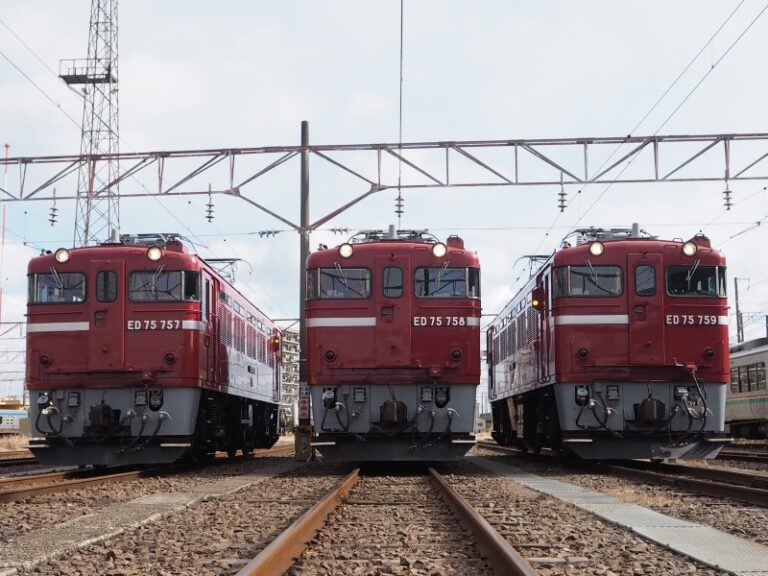 最初で最後 ED75形交流電気機関車が4両並ぶ「もう1回」が無い撮影会 仙台車両センターで9/22・23開催 | 旅とお出かけ 鉄道チャンネル