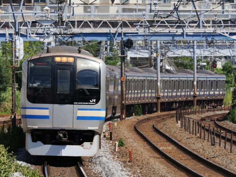 鶴見区民文化センターで、20名のフォトグラファーによる「E217系デビュー30周年写真展」11/2〜4に開催（鉄道チャンネル）｜dメニューニュース（NTTドコモ）