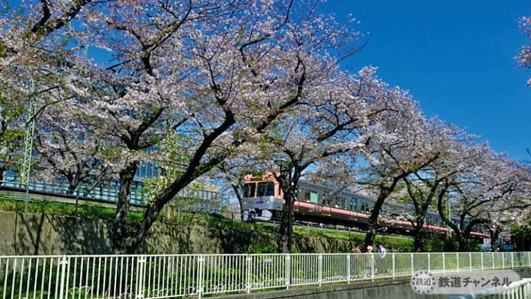 3万2千年前の日常 想像できますか？【駅ぶら】06京王電鉄442 井の頭線73 | コラム | 鉄道チャンネル