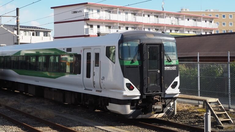 E257系が東京～御殿場間を走る！10月に臨時列車を運転、JR東日本 | 旅とお出かけ 鉄道チャンネル